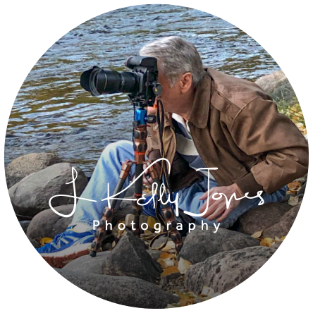 Kelly Jones Photography | About Me